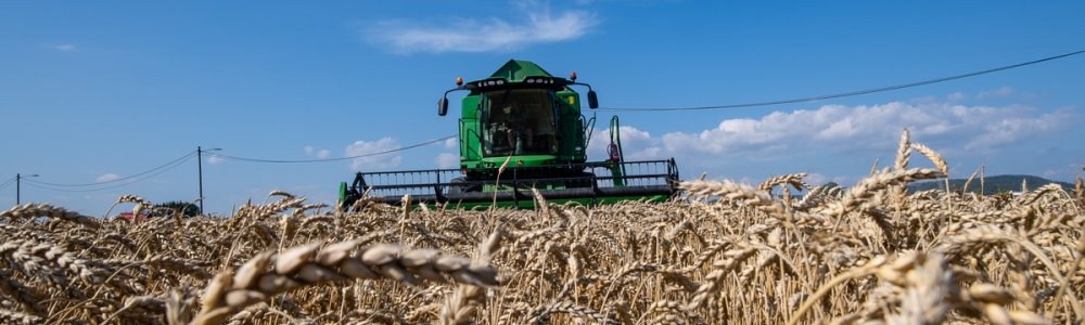 Beredskapslagring av matkorn: Invitasjon til åpent dialogmøte hos Landbruksdirektoratet ...